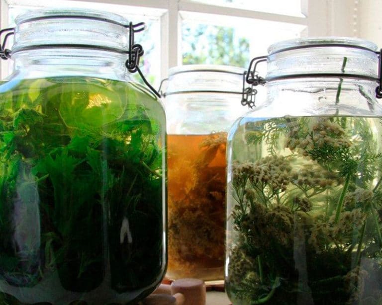 Descubriendo la Diversidad de Hidromieles: Un Viaje de Sabores